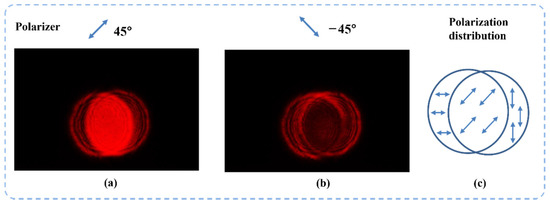 Dynamic Phase and Polarization Modulation Using Two-Beam Parallel Coding for Optical Storage in ...