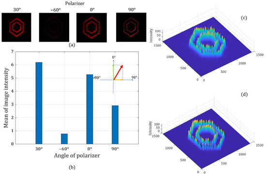Dynamic Phase and Polarization Modulation Using Two-Beam Parallel ...