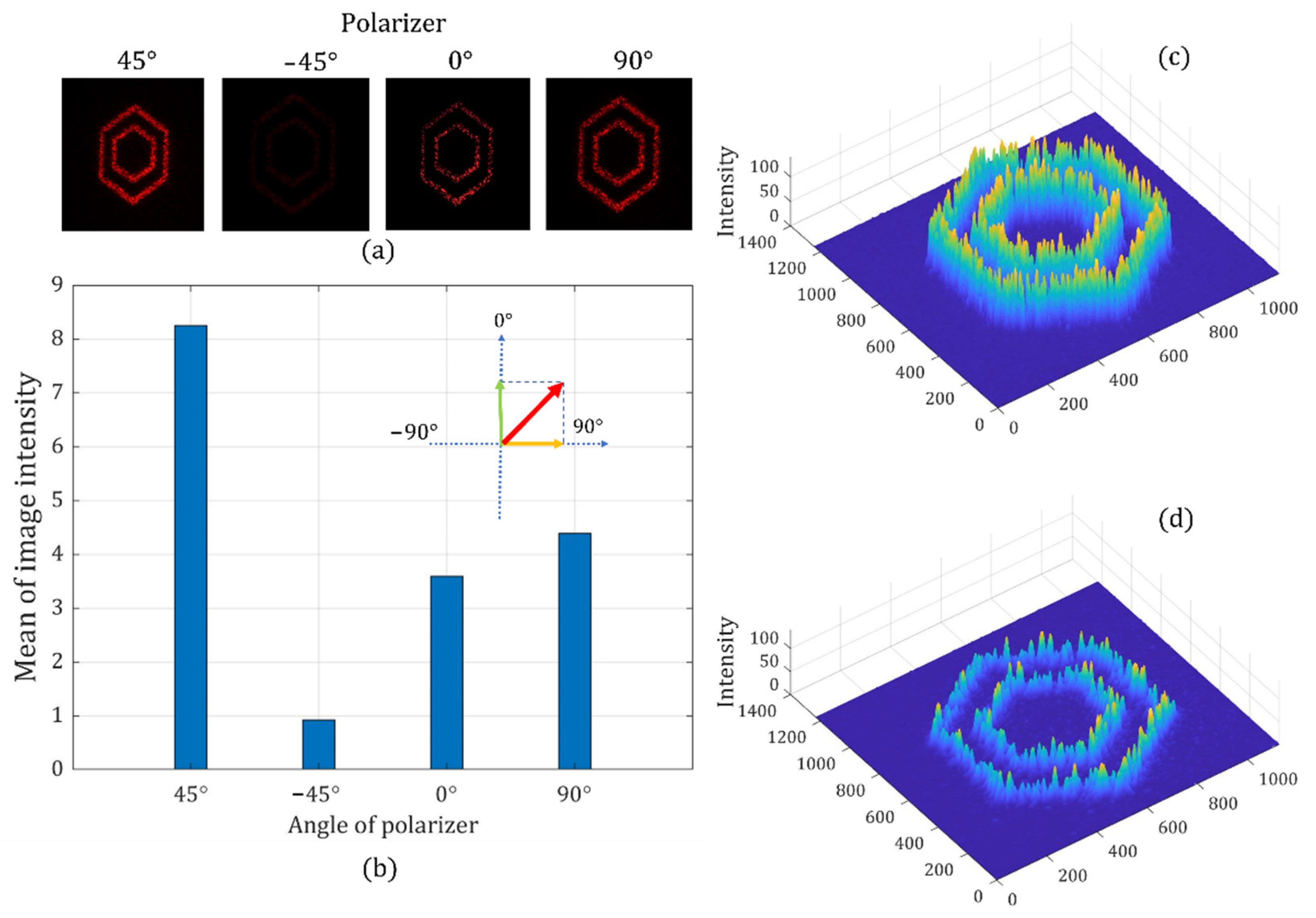 Dynamic Phase and Polarization Modulation Using Two-Beam Parallel Coding for Optical Storage in ...
