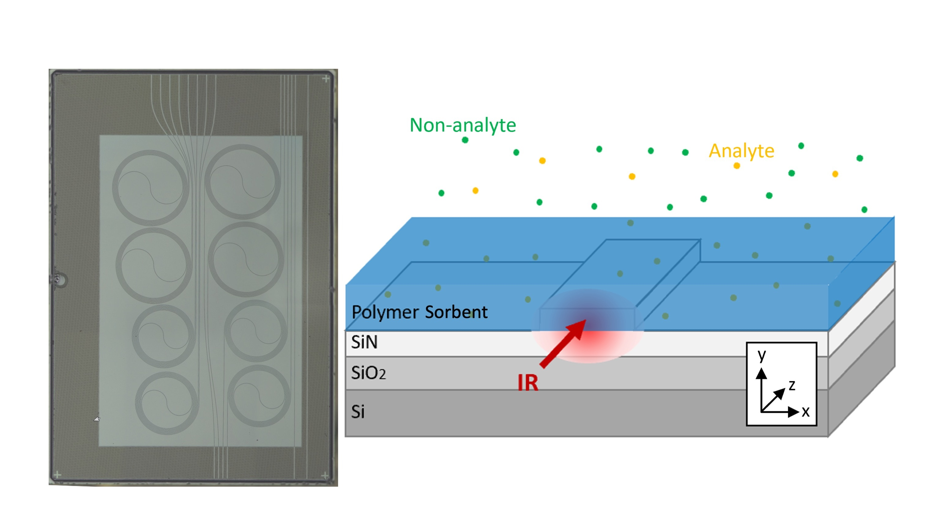 Sensors | Free Full-Text | Waveguide-Enhanced Raman Spectroscopy (WERS ...