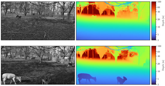 SOCRATES: Introducing Depth in Visual Wildlife Monitoring Using Stereo ...