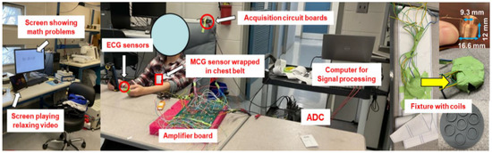 Quantifying Cognitive Workload Using a Non-Contact Magnetocardiography ...
