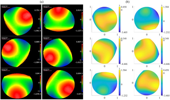 Circular Subaperture Stitching Interferometry Based on Polarization Grating and Virtual–Real ...