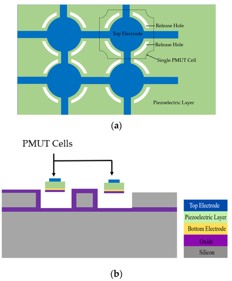 Piezoelectric Micromachined Ultrasonic Transducers (PMUTs): Performance ...
