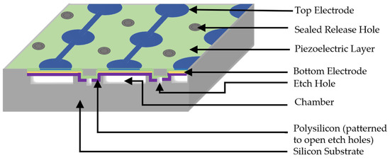 Piezoelectric Micromachined Ultrasonic Transducers (PMUTs): Performance ...