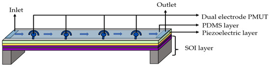 Piezoelectric Micromachined Ultrasonic Transducers (PMUTs): Performance ...