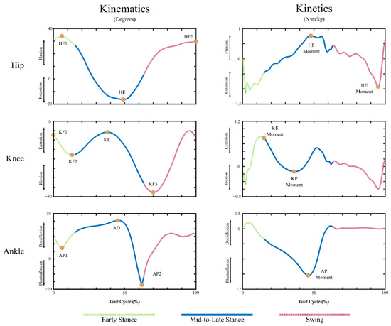 How Do Joint Kinematics and Kinetics Change When Walking Overground ...