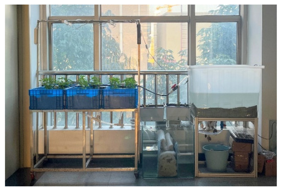 A Modularized IoT Monitoring System with Edge-Computing for Aquaponics