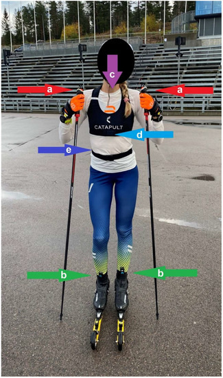 Inner-Cycle Phases Can Be Estimated from a Single Inertial Sensor by ...