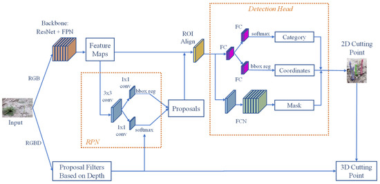 Detection of Green Asparagus Using Improved Mask R-CNN for Automatic Harvesting