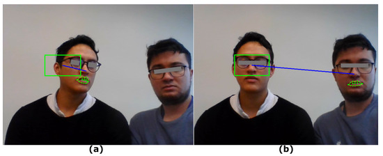 Low-Cost Human–Machine Interface for Computer Control with Facial ...
