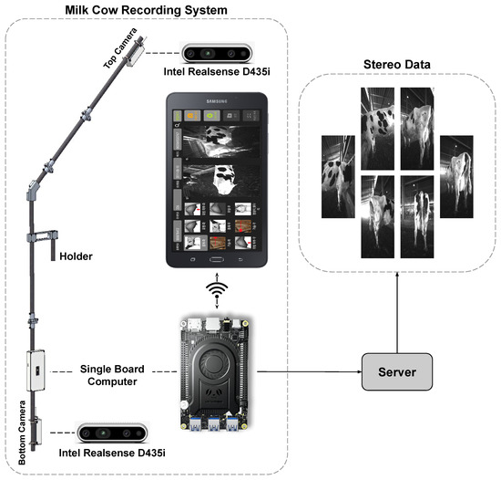 Case Study: Improving the Quality of Dairy Cow Reconstruction with a ...