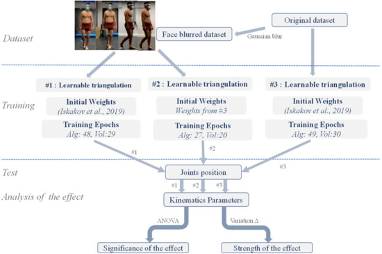 Effect of Face Blurring on Human Pose Estimation: Ensuring Subject ...