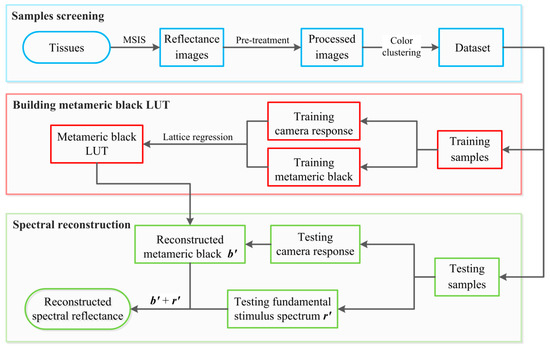Spectral Reflectance Reconstruction of Organ Tissue Based on Metameric Black and Lattice Regression