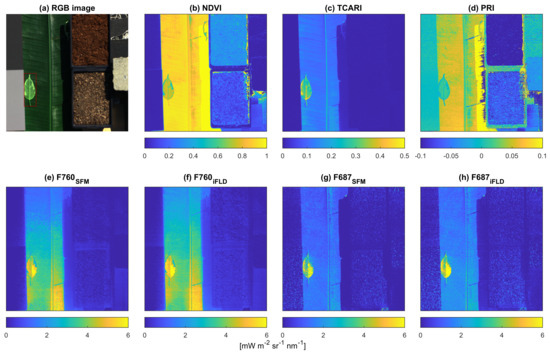 HyScreen: A Ground-Based Imaging System for High-Resolution Red and Far-Red Solar-Induced ...