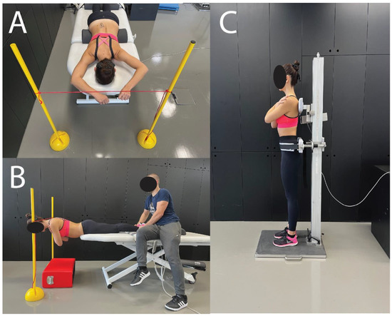 The Effects of Isometric Fatigue on Trunk Muscle Stiffness ...