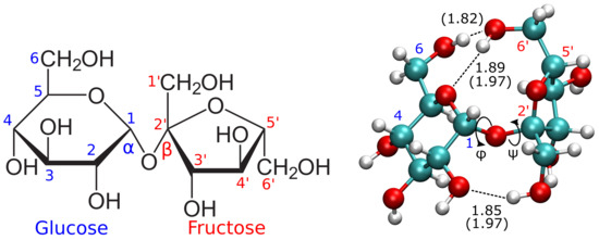 Molecular Level Sucrose Quantification: A Critical Review