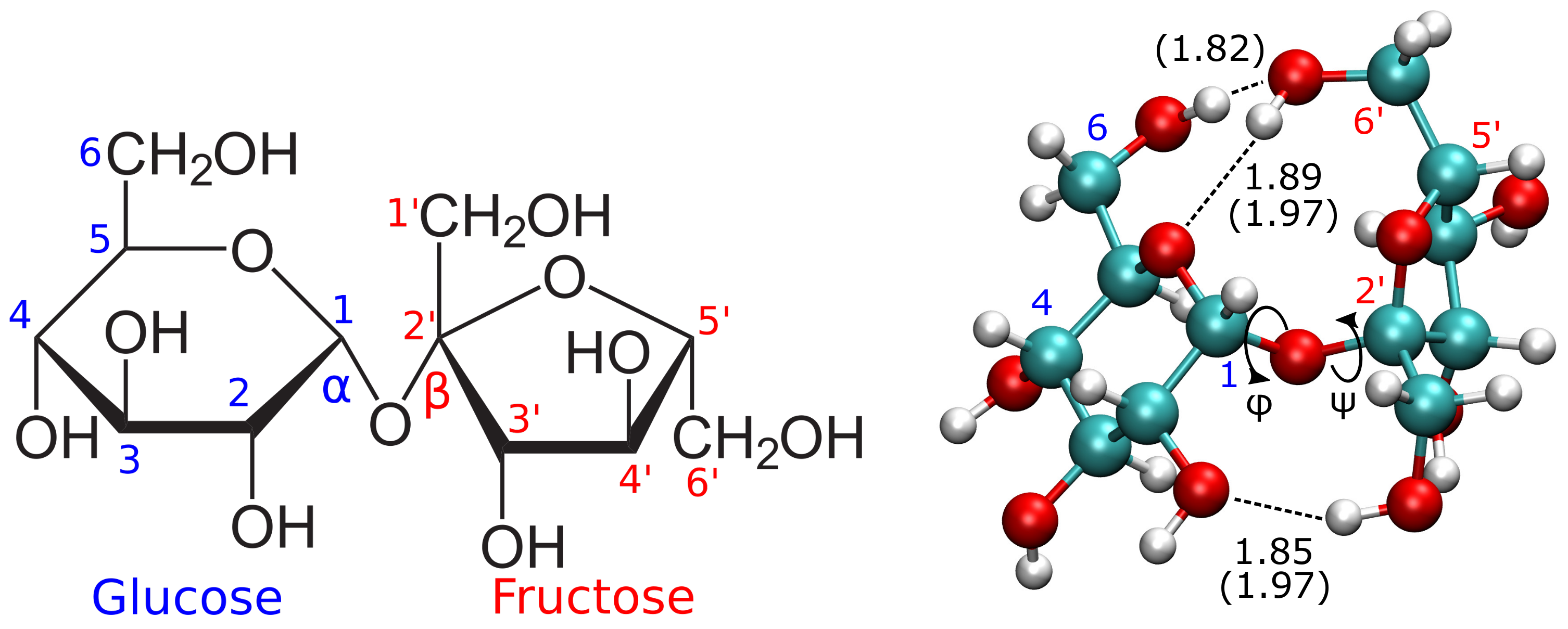 Molecular Structure Of Sucrose Molecular Structure Of Sucrose