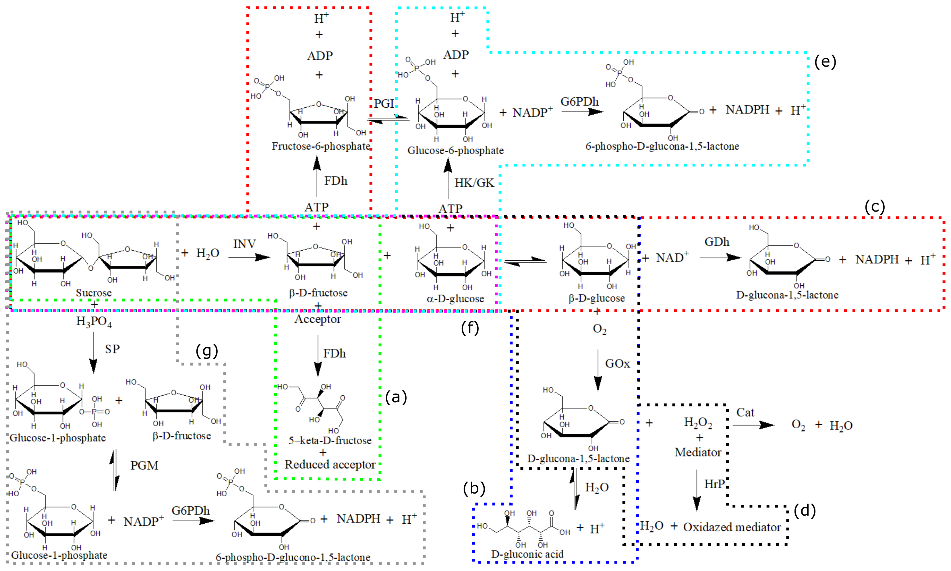 Molecular Level Sucrose Quantification: A Critical Review