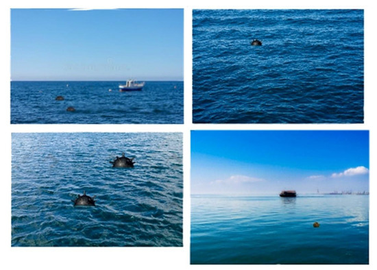 Sea Mine Detection Framework Using YOLO, SSD and EfficientDet Deep Learning Models
