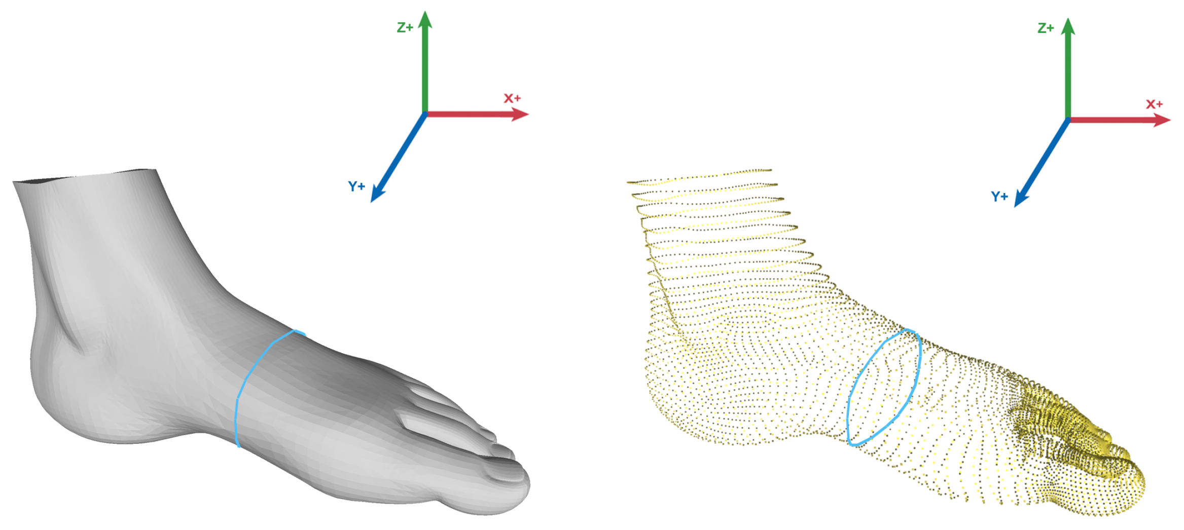 OptiFit: Computer-Vision-Based Smartphone Application to Measure the ...
