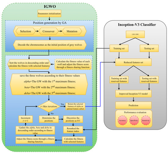 IGWO-IVNet3: DL-Based Automatic Diagnosis of Lung Nodules Using an Improved Gray Wolf ...