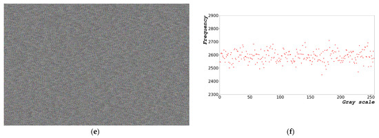 A Mathematically Generated Noise Technique for Ultrasound Systems