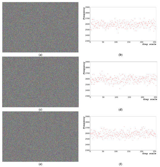 A Mathematically Generated Noise Technique for Ultrasound Systems