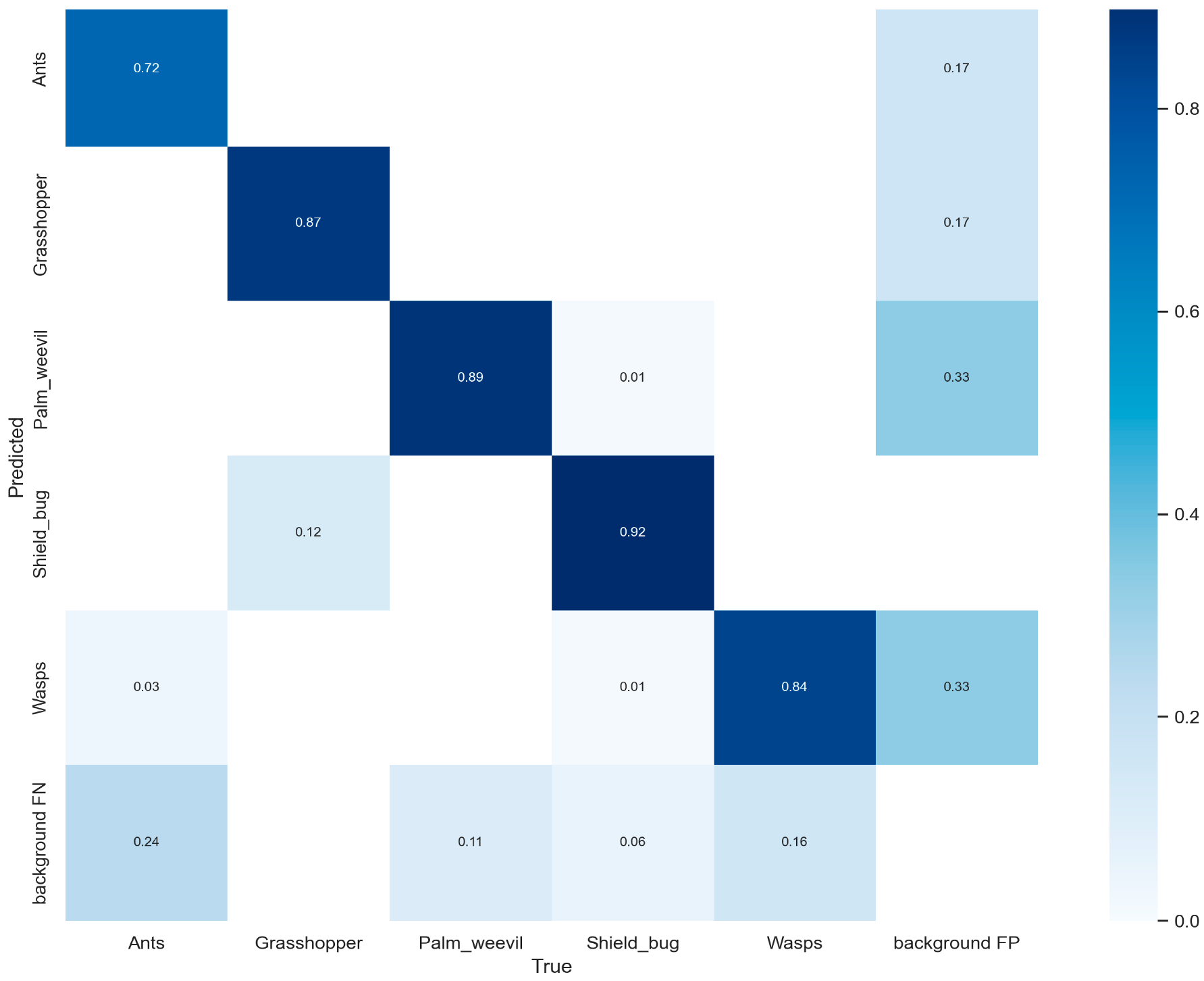 Sensors Free Full Text An Efficient Pest Detection Framework With A