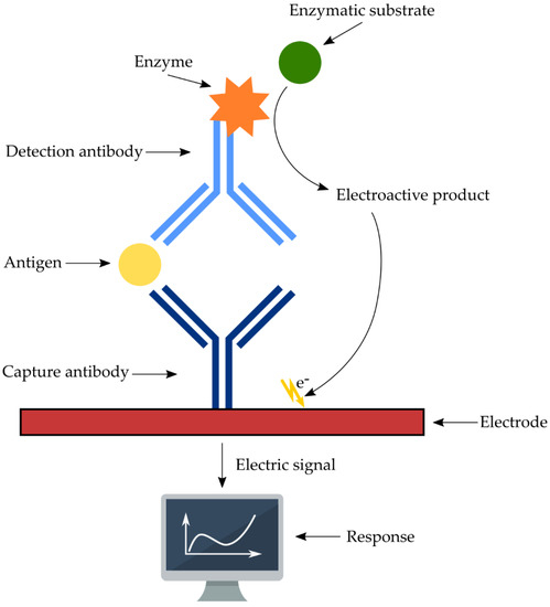 Sensors | Free Full-Text | Immunosensors—The Future of Pathogen Real-Time Detection