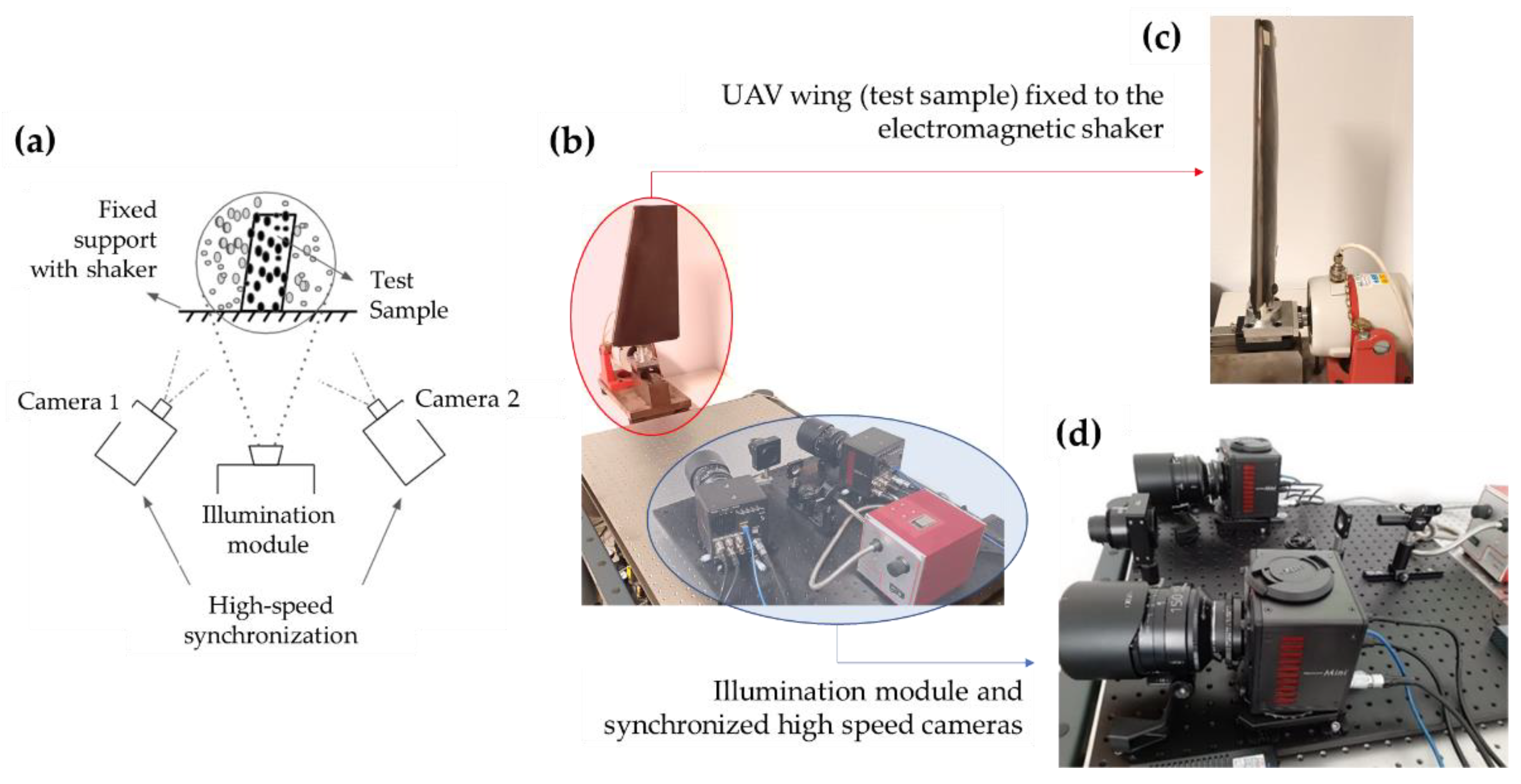Three-Dimensional Digital Image Correlation Based on Speckle Pattern Projection for Non-Invasive ...