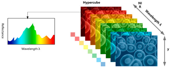 Sensors | Free Full-Text | Deep Learning in Medical Hyperspectral Images: A Review
