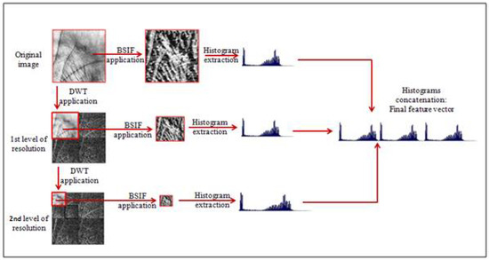 Contactless Palmprint Recognition Using Binarized Statistical Image Features-Based ...