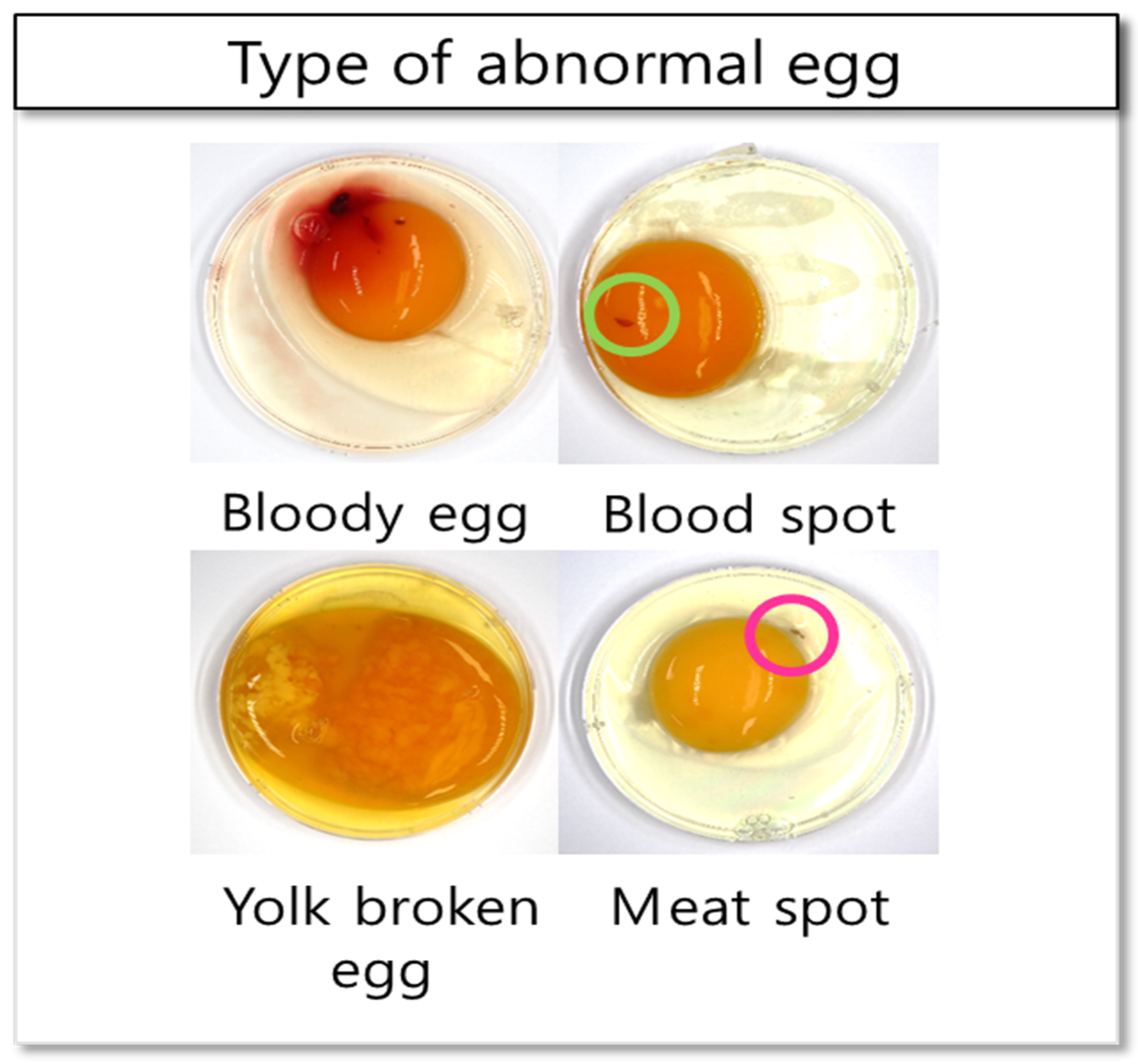 Sensors Free Full Text Non Destructive Detection Of Abnormal Chicken Eggs By Using An