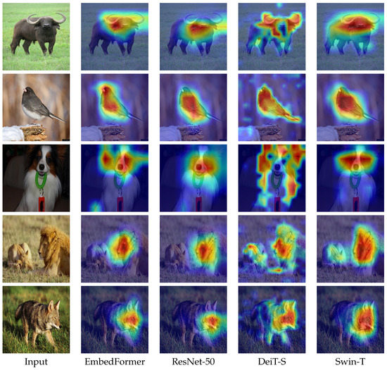 Sensors | Free Full-Text | EmbedFormer: Embedded Depth-Wise Convolution Layer for Token Mixing