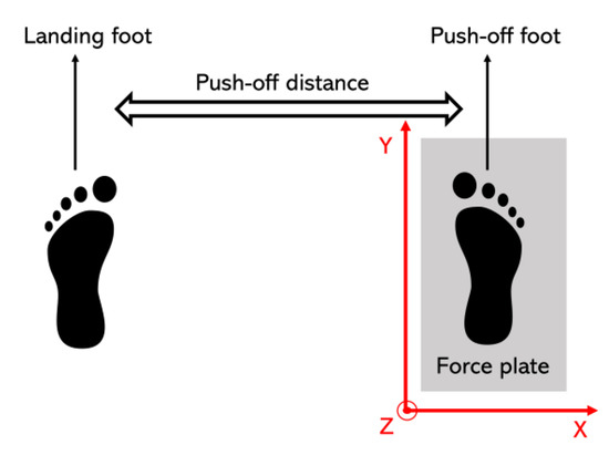 Validation of 2D Force Measurement Roller Ski and Practical Application