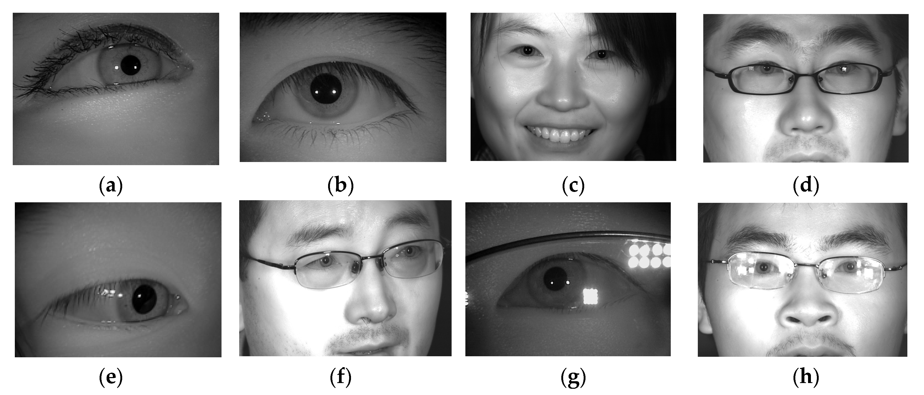 Robust Iris-Localization Algorithm in Non-Cooperative Environments Based on the Improved YOLO v4 ...