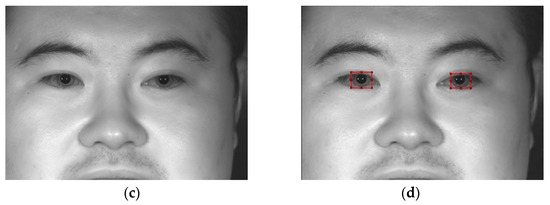 Robust Iris-Localization Algorithm in Non-Cooperative Environments Based on the Improved YOLO v4 ...