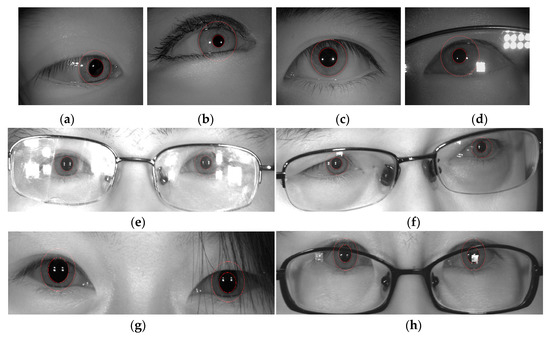 Robust Iris-Localization Algorithm in Non-Cooperative Environments Based on the Improved YOLO v4 ...