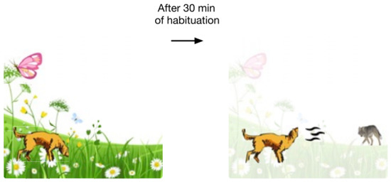 Improving Network Training on Resource-Constrained Devices via ...