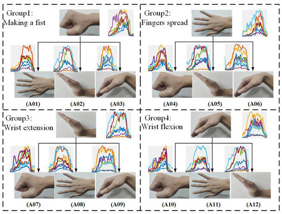 sEMG-Based Continuous Hand Action Prediction by Using Key State ...