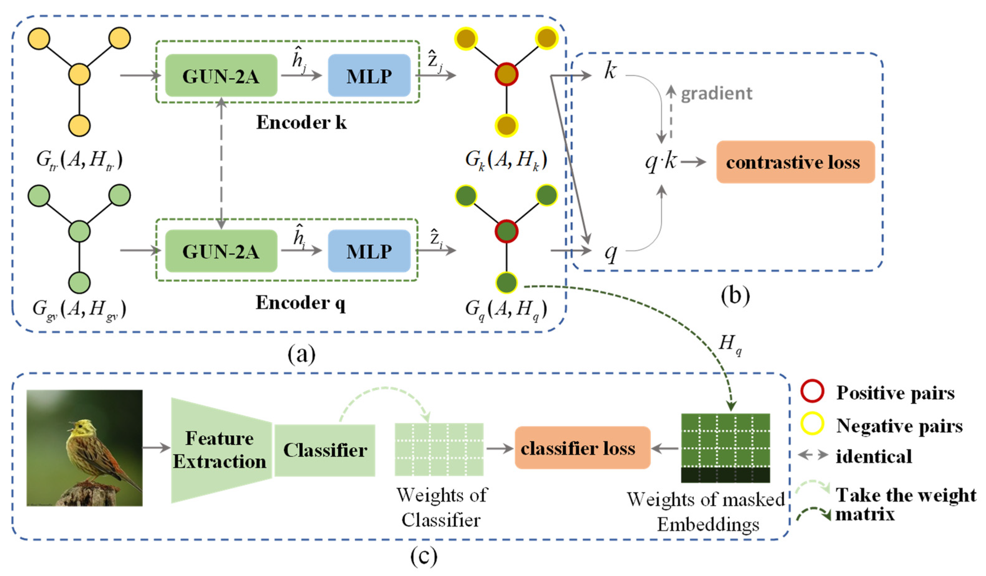 CGUN-2A: Deep Graph Convolutional Network via Contrastive Learning for ...
