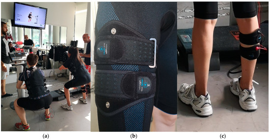Spatial Distribution of Muscular Effects of Acute Whole-Body ...