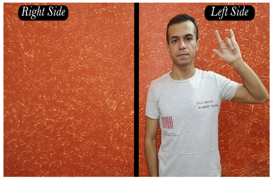 Light-Weight Deep Learning Techniques with Advanced Processing for Real ...