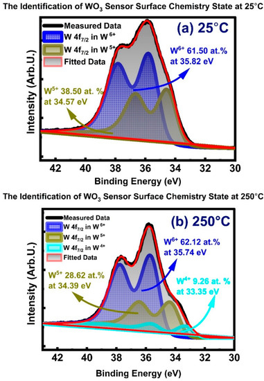 Adsorbed Oxygen Ions and Oxygen Vacancies: Their Concentration and ...