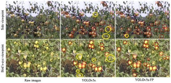YOLOv5s-FP: A Novel Method for In-Field Pear Detection Using a Transformer Encoder and Multi ...