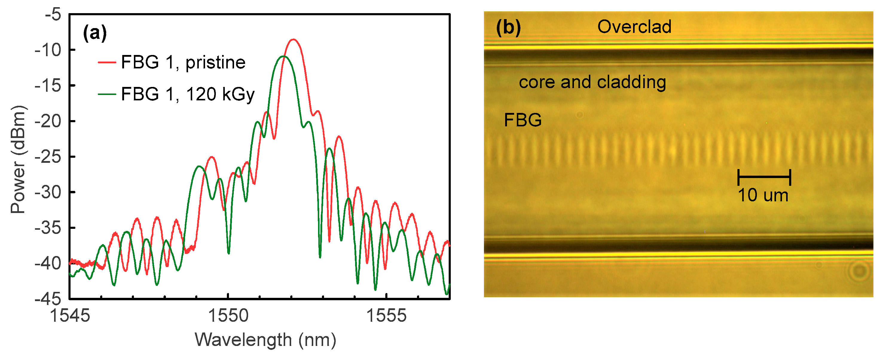 Online Gamma Radiation Monitoring Using Few-Mode Polymer CYTOP Fiber ...