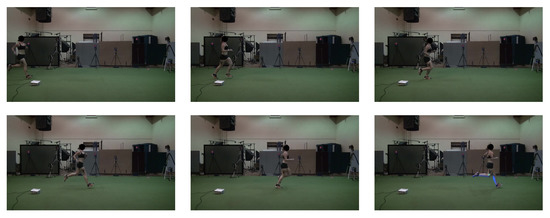 Estimating Ground Reaction Forces from Two-Dimensional Pose Data: A ...