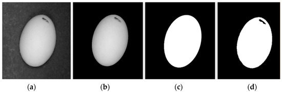 A Multi-Flow Production Line for Sorting of Eggs Using Image Processing