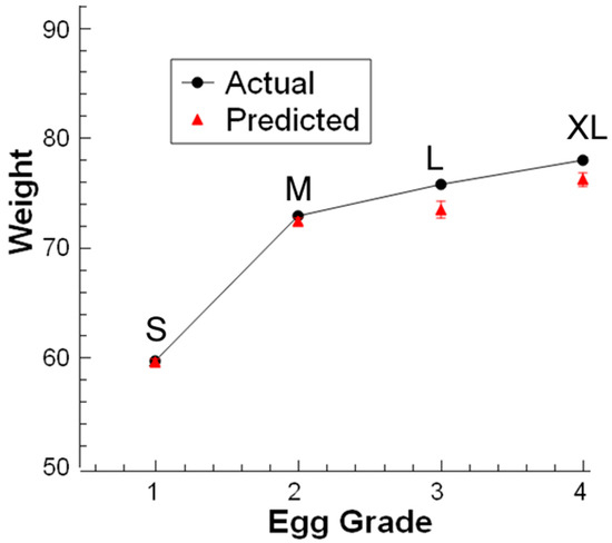 A Multi-Flow Production Line for Sorting of Eggs Using Image Processing